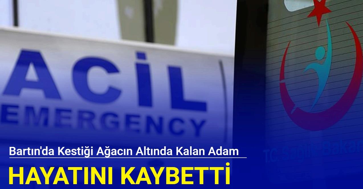 Bartın'da kestiği ağacın altında kalan adam hayatını kaybetti - Finans 7
