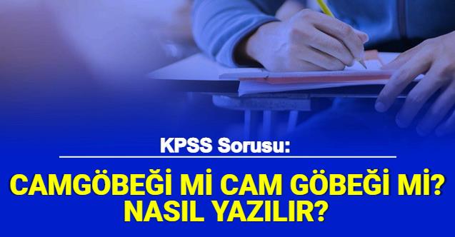 KPSS Sorusu: Cam Göbeği mi Camgöbeği mi? Nasıl Yazılır Ayrı mı Bitişik ...
