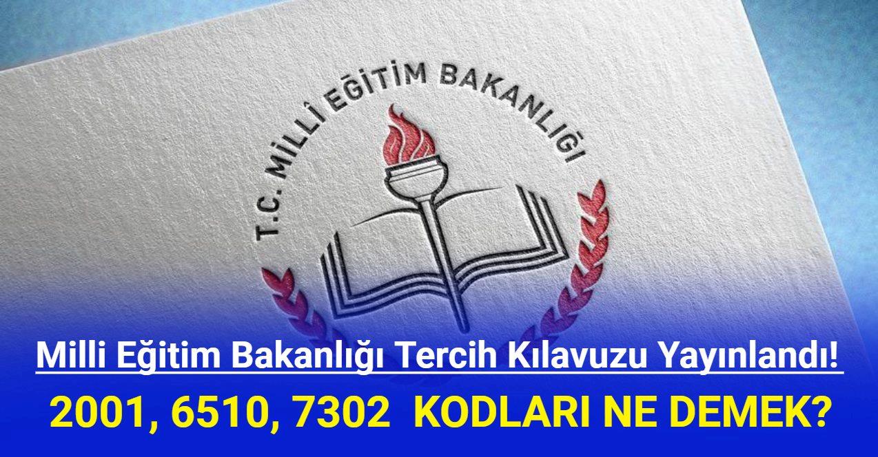 Milli Eğitim Bakanlığı Tercih Kılavuzu Yayınlandı! 2001, 6510, 7302 ...