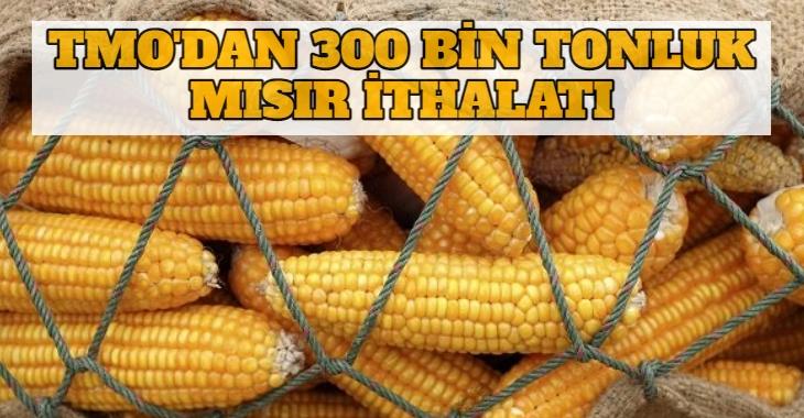 TMO' dan 300 Bin Tonluk Mısır İthalatı - Finans 7 TMO' dan 300 Bin Tonluk Mısır İthalatı - Finans 7